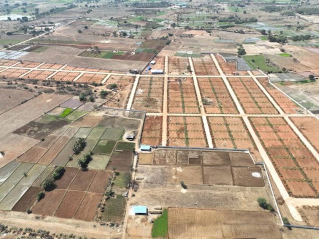 Tulip Farm in Kandukur, Hyderabad - Price, Location Map, Floor Plan ...